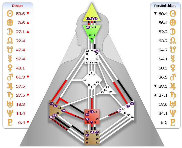 Human Design System - Jenseits von Horoskopen ⋆ #Netz.Zoom